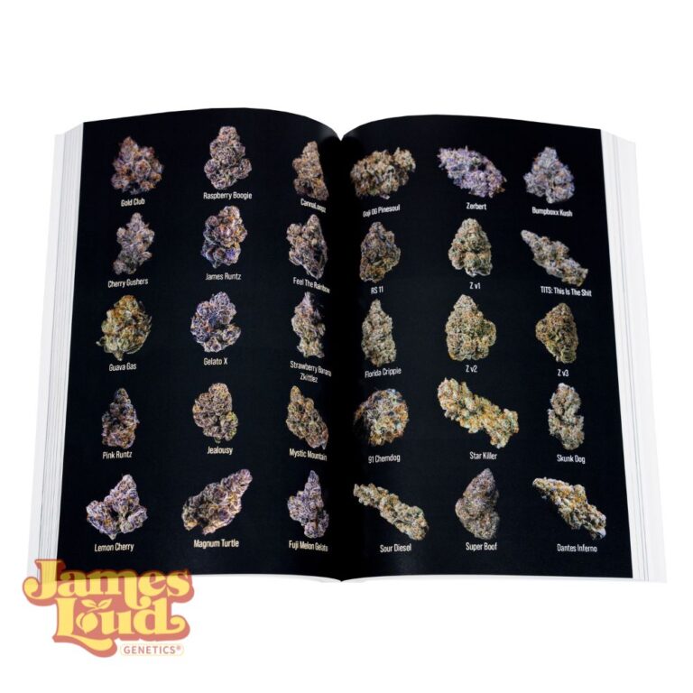 Cannabis Breeding: The Art and Science of Crafting Distinctive ...